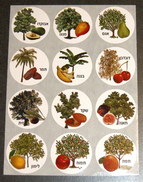 Details 48 hojas de árboles frutales y sus nombres Abzlocal mx