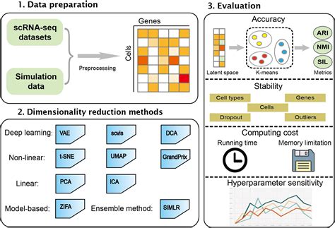 frontiers a comparison for dimensionality reduction methods of single cell rna seq data