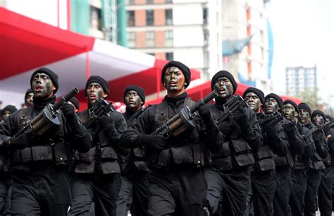 Gran Parada y Desfile Cívico Militar 2023 Ministerio de Defensa del