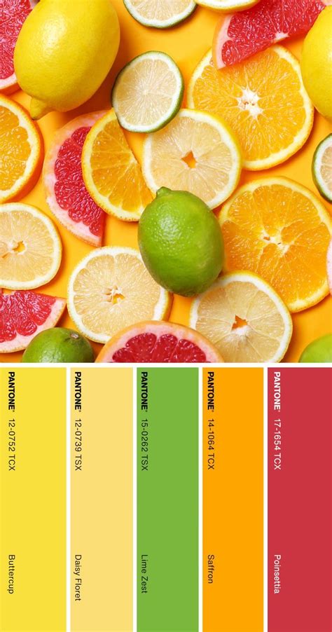Pantone Color Palette Pantone Color Palette Citrus Color Palette