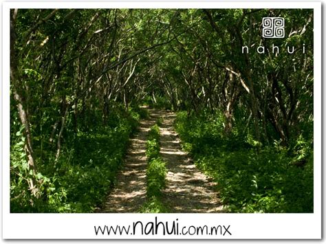 Maravillas De La Naturaleza En Su M Xima Expresi N En Nahui Respetamos