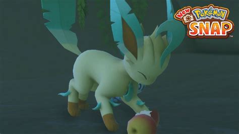 New Pokemon Snap Operation Be My Friend Star Leafeon Lentalk