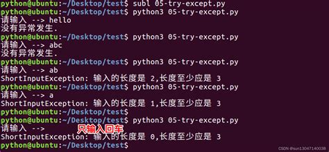 python文件操作教程 python文件操作笔记 python中new file点击运行后怎么办 csdn博客