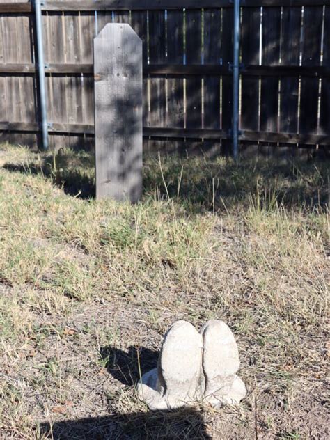 Things To Do In Dodge City Kansas Olio In Iowa