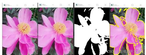 如何绘制opencv图像轮廓 opencv 画轮廓 csdn博客