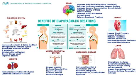Biofeedback Breathing Device How To Choose And Use