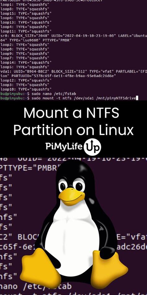 Learn How To Mount An Ntfs Partition On Linux Artofit