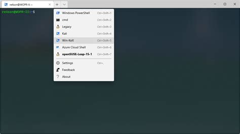 Run Kali Linux Apps In Windows 10 Windows 11