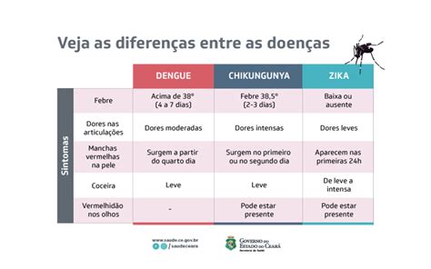 Saiba as diferenças entre os sintomas das arboviroses Governo do
