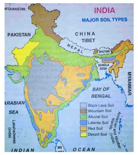 Major Soil Types India Outline Map
