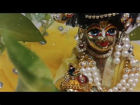 Vrindavan Se Aaye Hamare Ghar Laddu Gopal YouTube