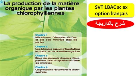 Unité 2 La production de la matière organique par les plantes