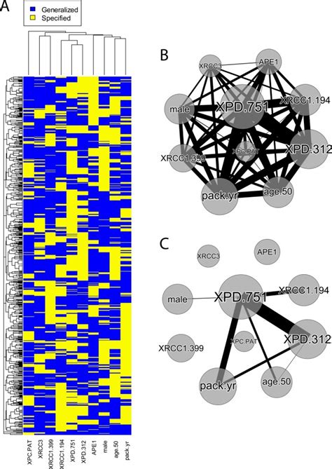 rule population visualizations a heat map visualization of the download scientific diagram
