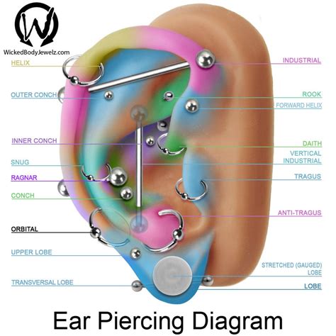 Ear Piercings Chart Pain Example Calendar Printable