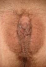 Pussy Unbounded