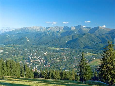 Zakopane góry Drzewa