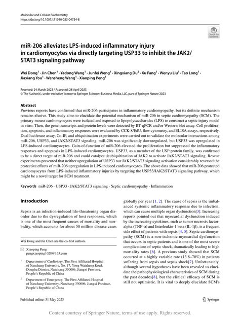 MiR 206 Alleviates LPS Induced Inflammatory Injury In Cardiomyocytes