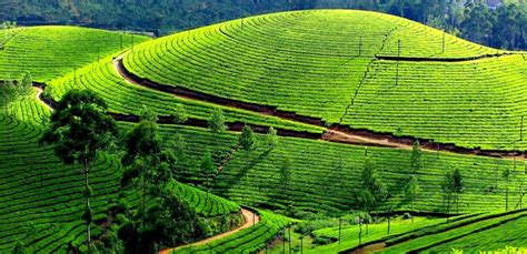 10 Famous Hill Stations In Tamil Nadu For A Refreshing Vacation