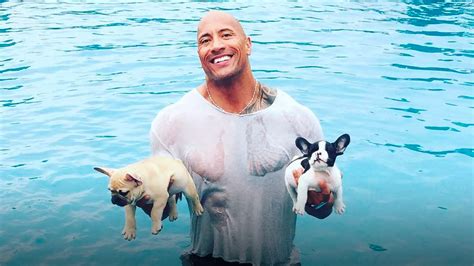 DC Liga De Supermascotas El Amor De Dwayne Johnson A Sus Perritos