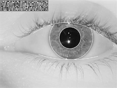 the biometric bar code of the human iris the identification is based download scientific