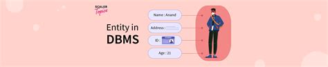 Entity In Dbms Scaler Topics