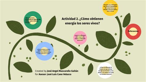 JoséÁngel Actividad 2 Cómo obtienen energía los seres vivos by