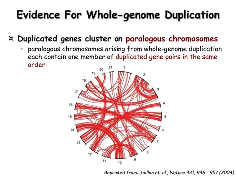 PPT Genome Biology And Biotechnology PowerPoint Presentation Free