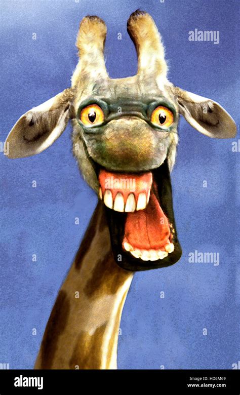 Portrait Of Crazy Giraffe Stock Photo Alamy