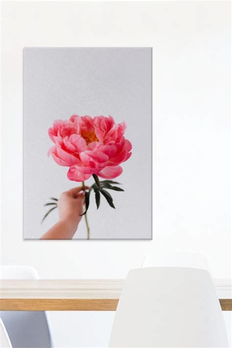 Op Deze Prachtige Foto Houdt Een Uitgestoken Hand Een Enkele Roze