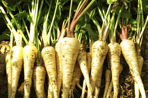 Fruits Et L Gumes De Mars Alimentation Bee Lity