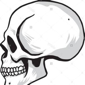 Skull Side View Vector At Vectorified Collection Of Skull Side