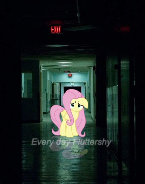 Create Meme Fluttershy Pony Is Sad Fluttershy Pony Fluttershy