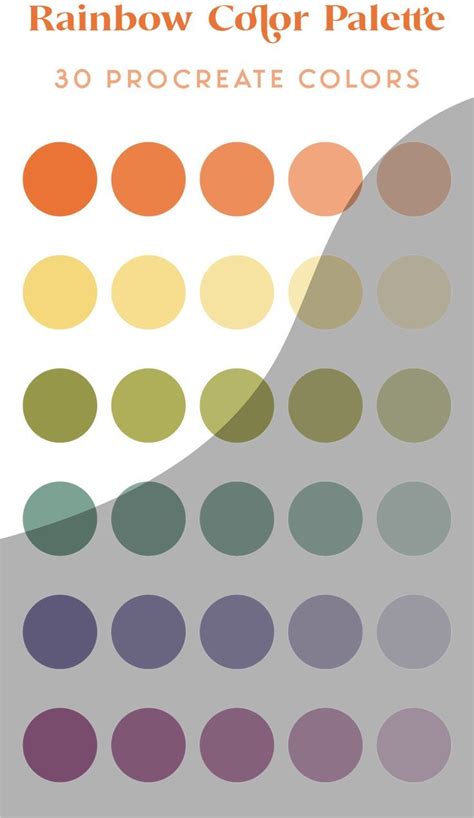 FREEBIE Rainbow Color Palette 30 Procreate Colors Illustration