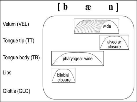 figure 1 from prosodic structural effects on non contrastive coarticulatory vowel nasalization