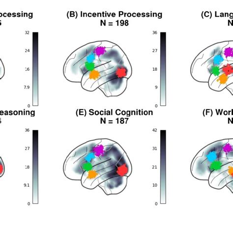 fig s4 hierarchical bayesian model selection estimation procedure and download scientific