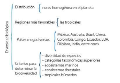 Que Es Un Cuadro Sinoptico Para Niños De Primaria Actividad del Niño