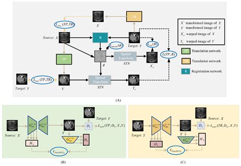 applied sciences free full text dtr gan an unsupervised bidirectional translation