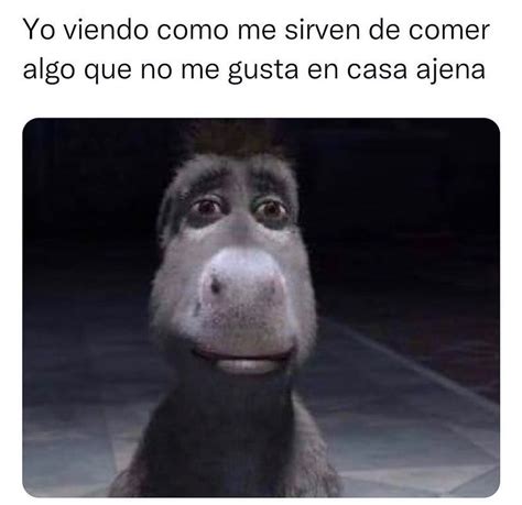 Yo Viendo Como Me Sirven De Comer Algo Que No Me Gusta En Casa Ajena