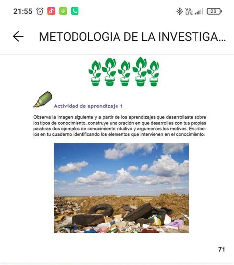 Observa La Imagen Siguiente Y A Partir De Los Aprendizajes Que