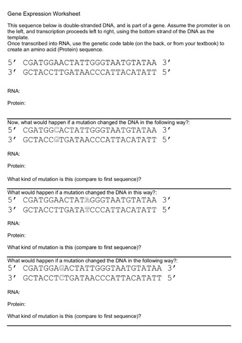 Solved Gene Expression Worksheet This Sequence Below Is Chegg