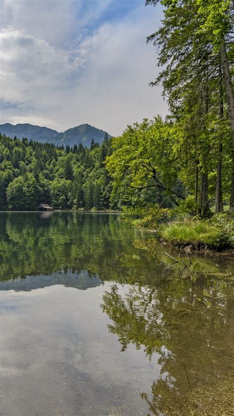 Odbicie drzew i gór w jeziorze Toplitzsee Tapeta na telefon