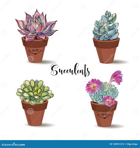 Succulents In Clay Pots Set Graphics With Watercolor Vector Stock