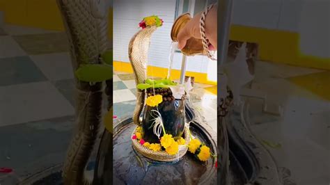 Om Namah Shivaya Ll Shiv Bhajan Shorts Video Status YouTube