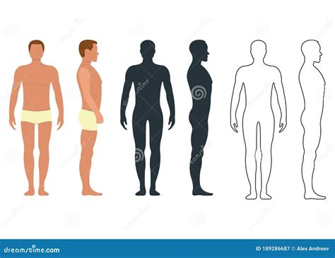 Male And Female Anatomy Human Character People Dummy Front And View