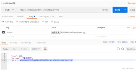 springboot vue 实现图片上传以及展示的要点 springboot vue上传图片回显到表格 csdn博客