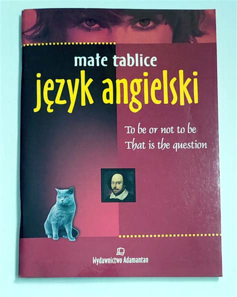 Witold Mizerski Tablice Niska Cena Na Allegro Pl