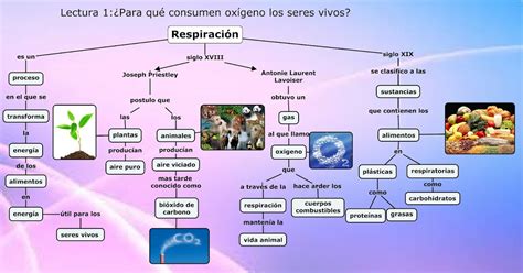 Biolog A Iv Lectura Mapa Conceptual