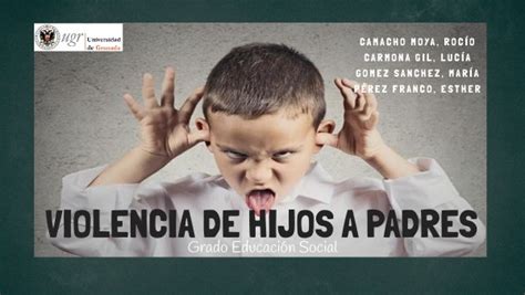 Violencia Filio Parental