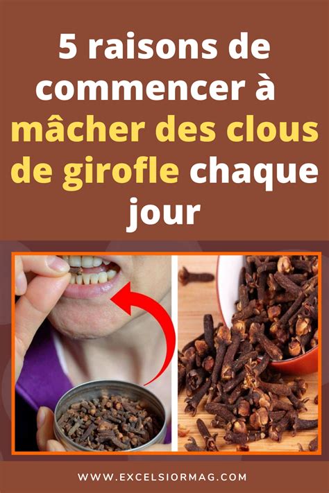 Les clous de girofle contiennent des propriétés culinaires et
