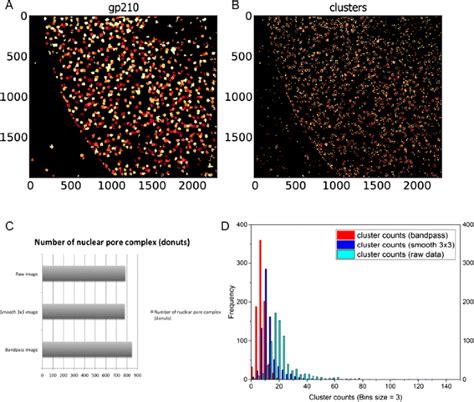 cellprofiler novel automated image segmentation procedure for super resolution microscopy